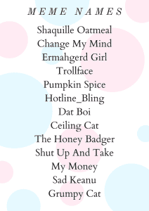 265 Cool And Funny Meme Names List - NamesBuddy