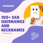 100+ Sad Usernames and Nicknames Collection - NamesBuddy