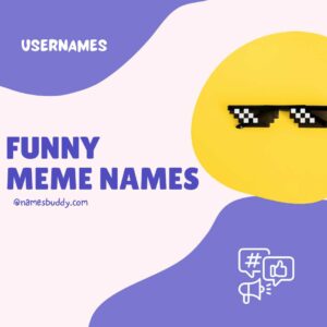 265 Cool And Funny Meme Names List - NamesBuddy