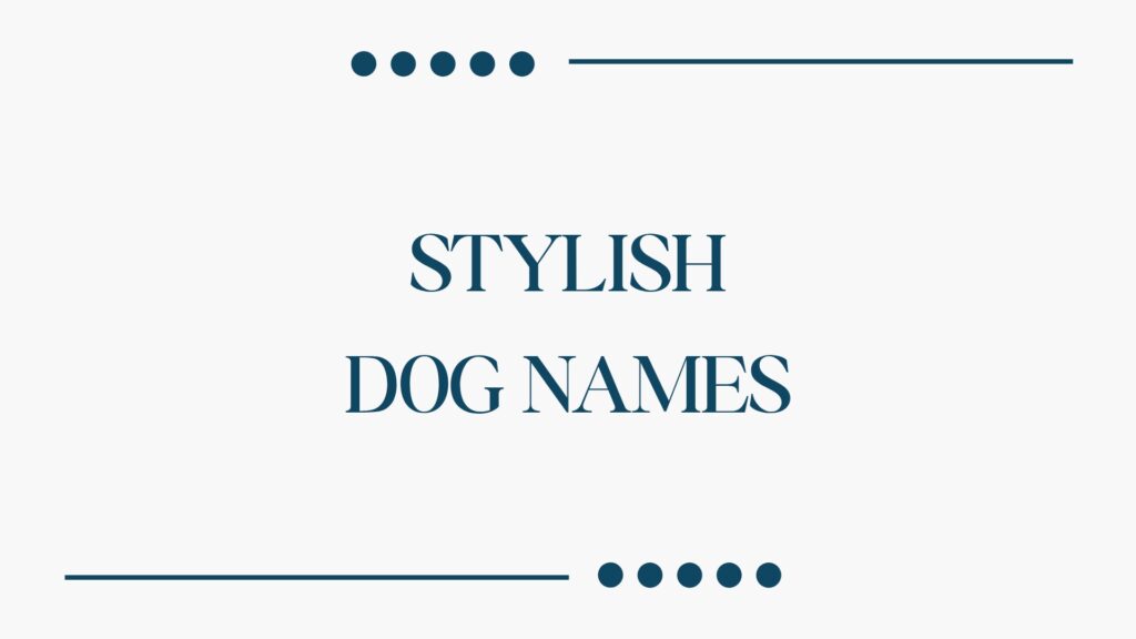100 Rare Dog Names
