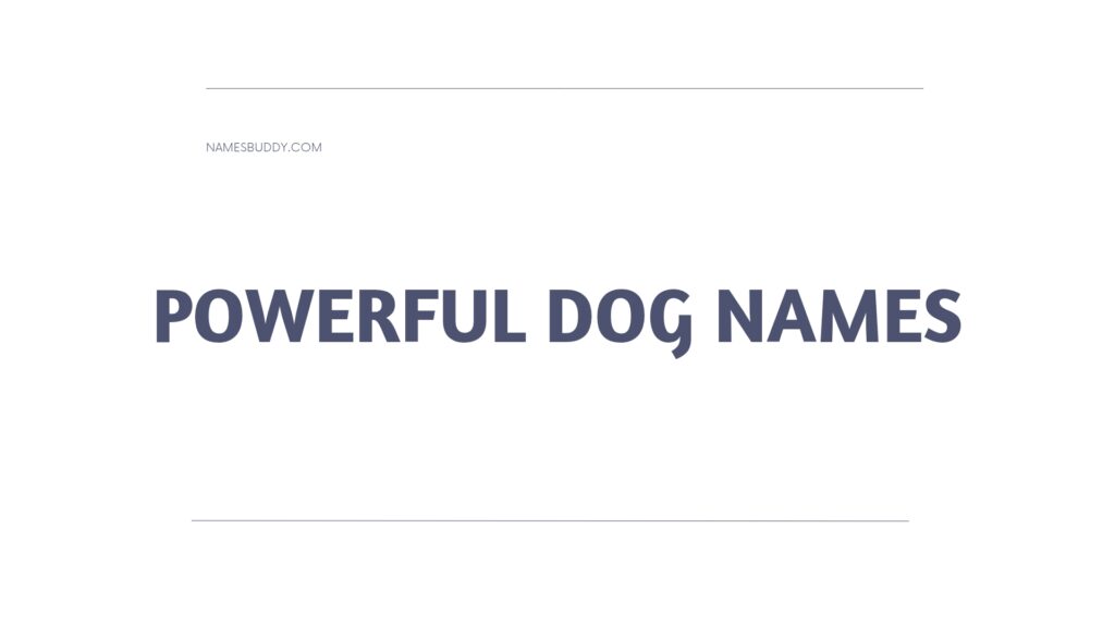 100 Fluffy Dog Names