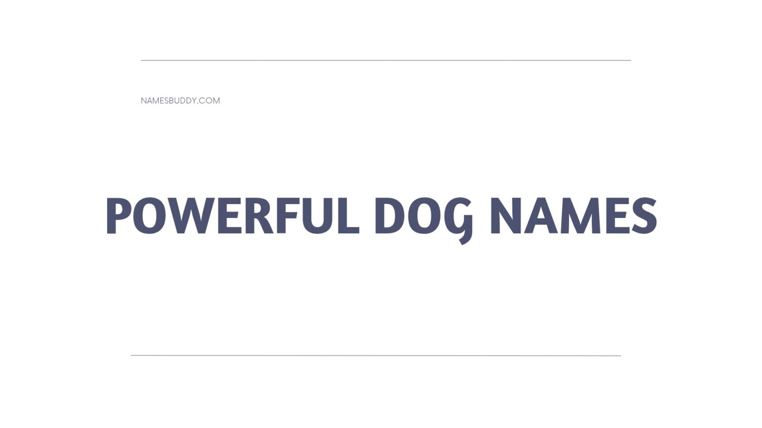 100 Fancy Dog Names