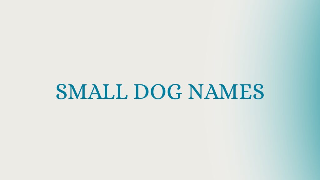 100 Guard Dog Names