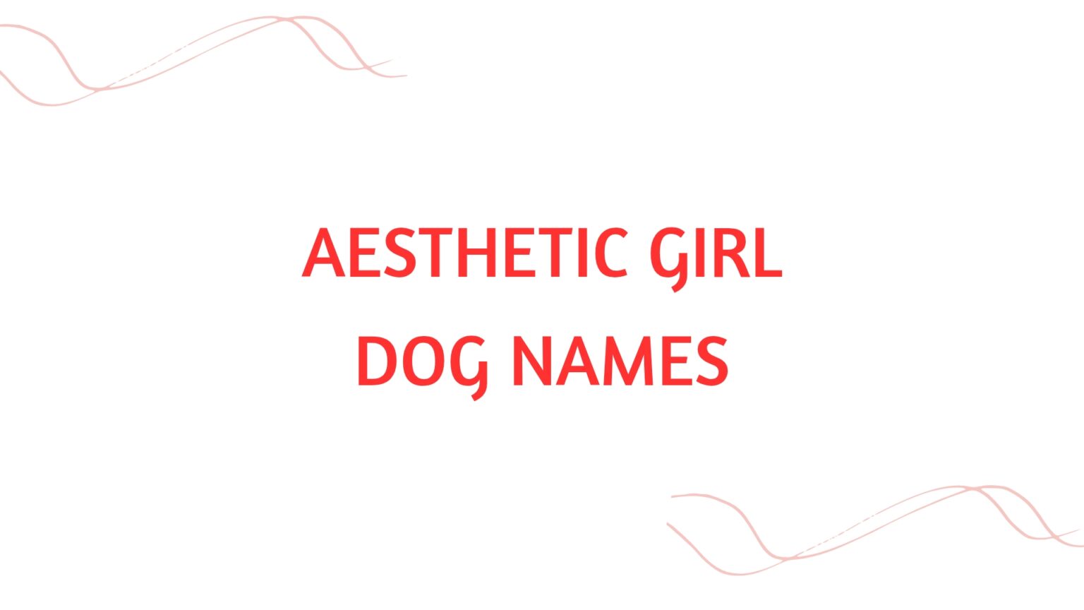 100 Rare Dog Names