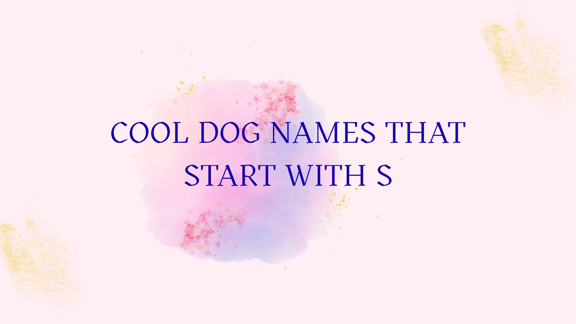 100 Cool Dog Names That Start With S