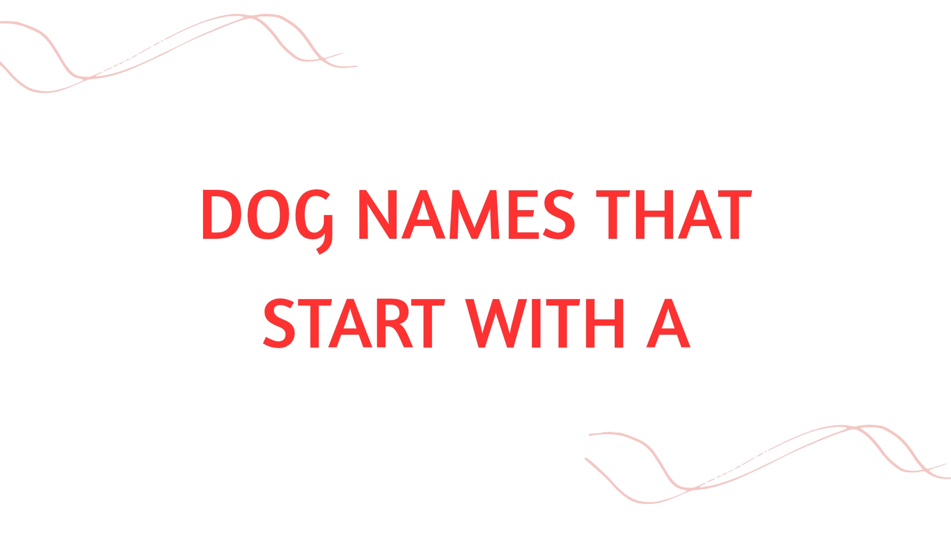 Dog Names That Start With A