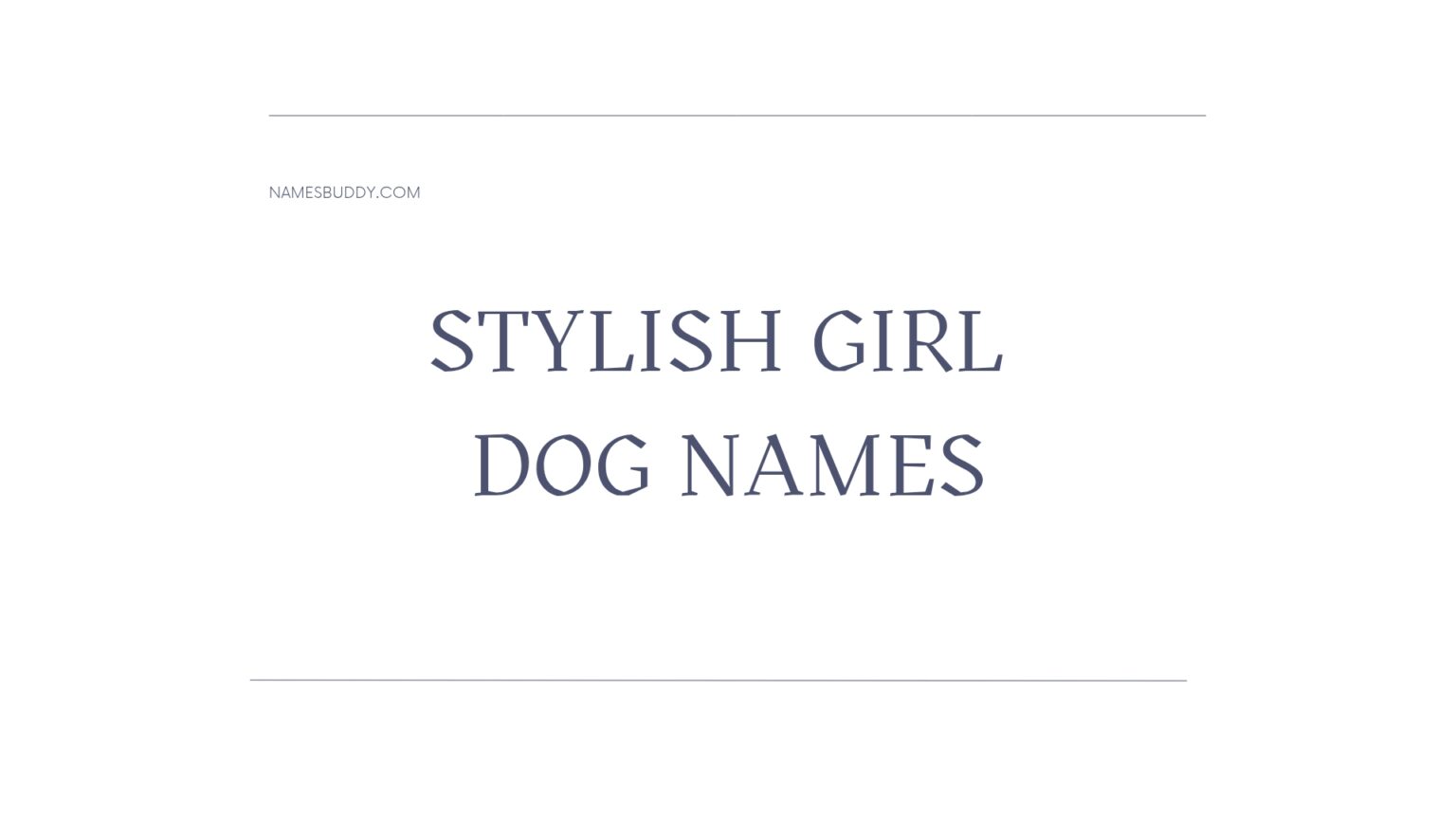 100 Fluffy Dog Names